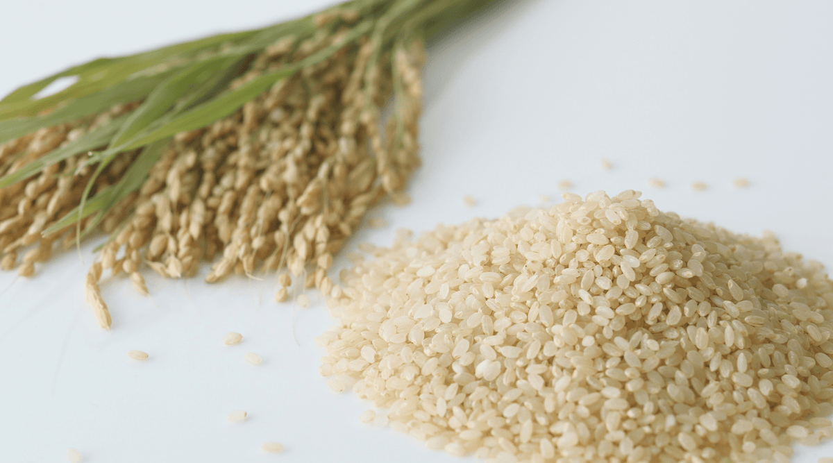 Buy Organic Rice For Your Family: Explore Our Various Options ...
